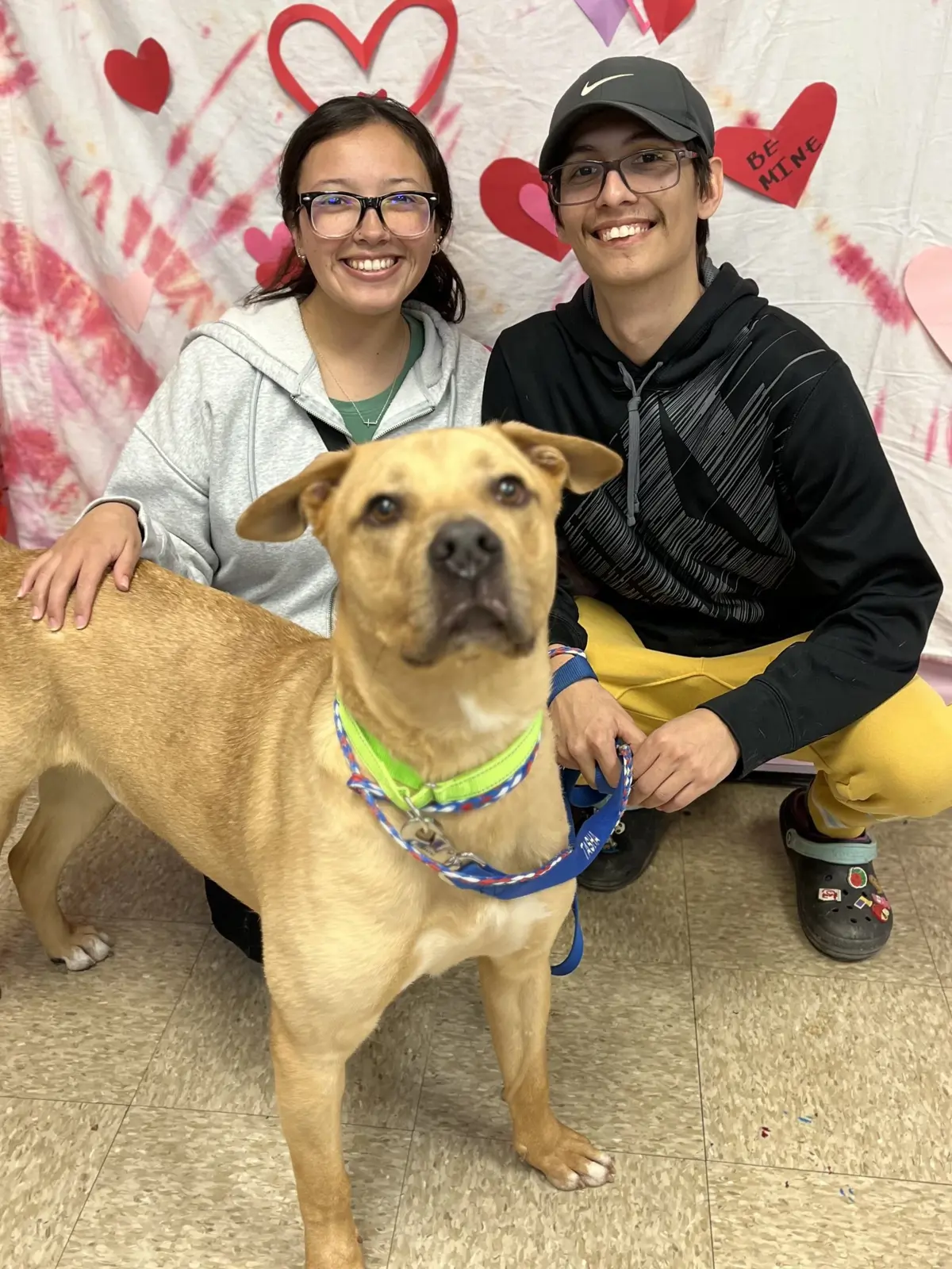 Bullhead City Animal Shelter